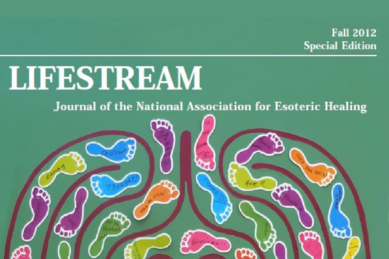 Lifestream Journal – 2012 Special Edition - NAEH